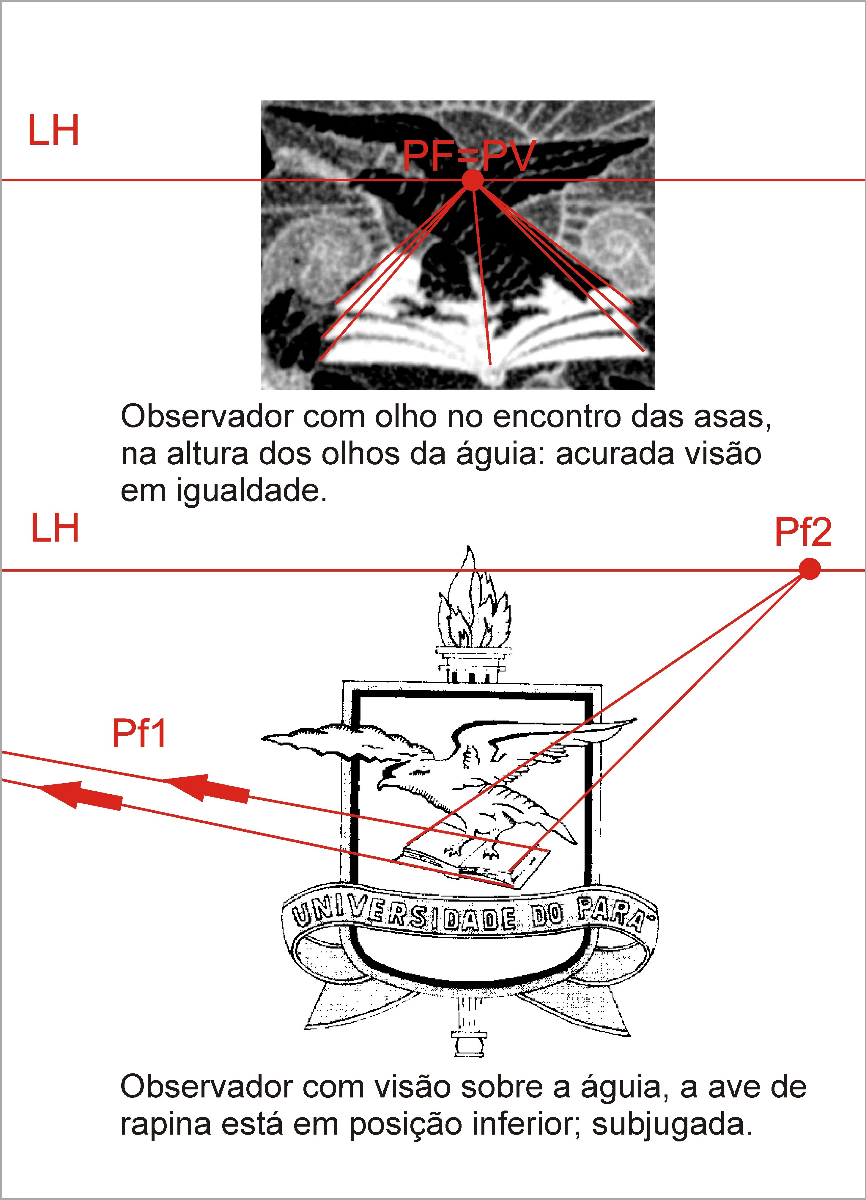 Do Brasão Original da UFPA III | Laboratório Virtual ─ FAU ITEC UFPA