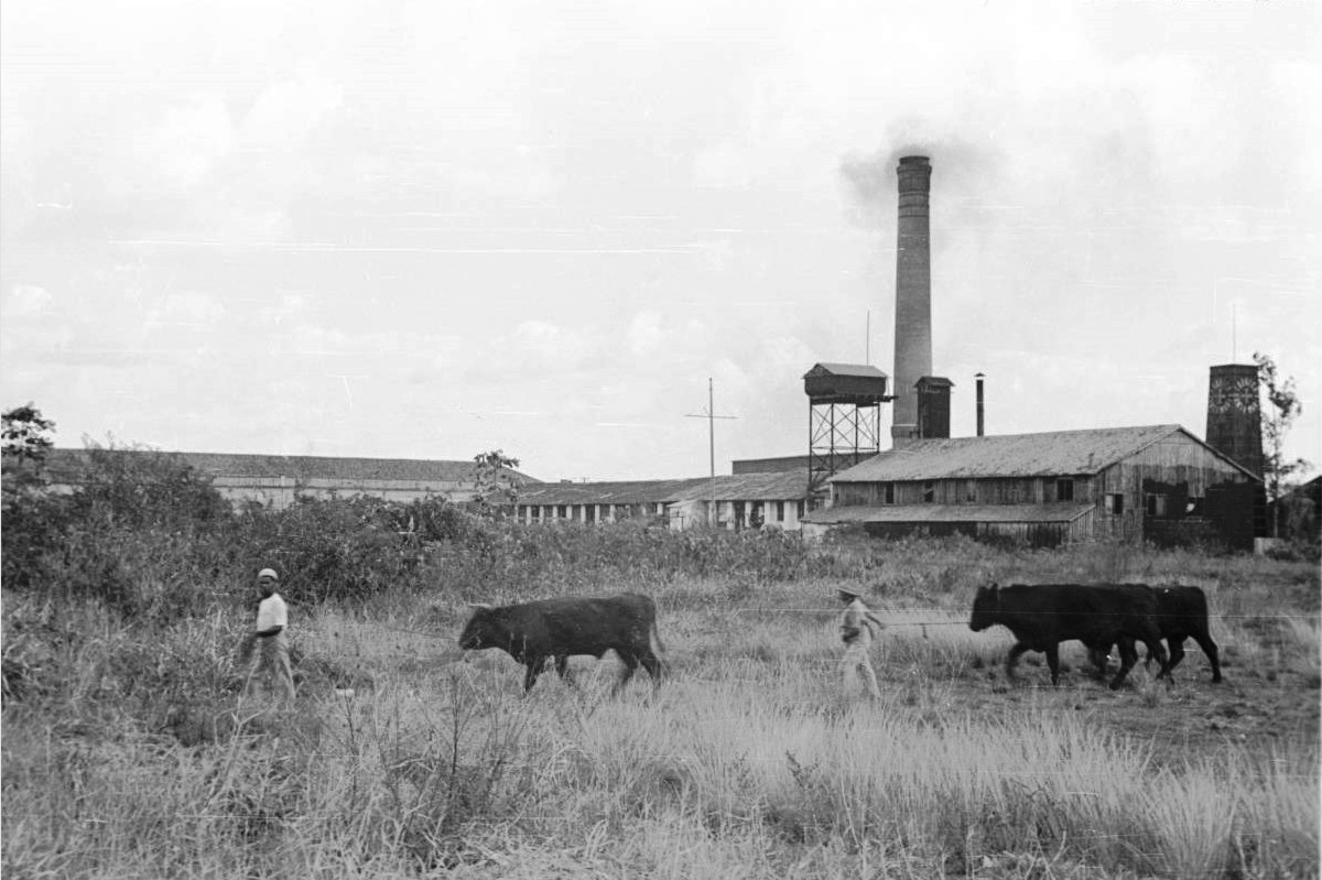 Fábrica Santa Maria (1935); por Robert Swanton Platt | Laboratório ...
